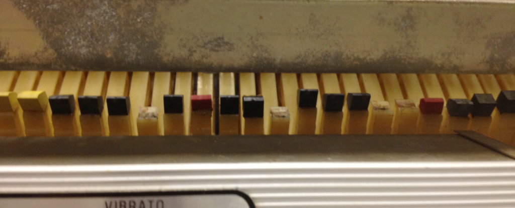 The Fender Rhodes | SoundGirls.org