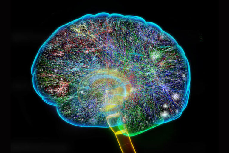 Engineering Ourselves and Rewiring the Brain | SoundGirls.org